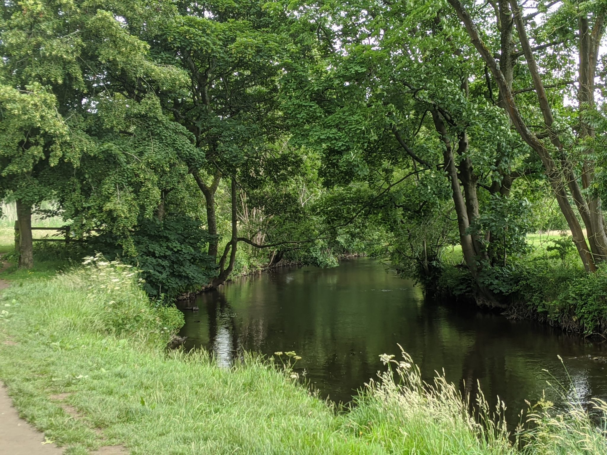 Mousley Bottom Nature Reserve - Visit New Mills