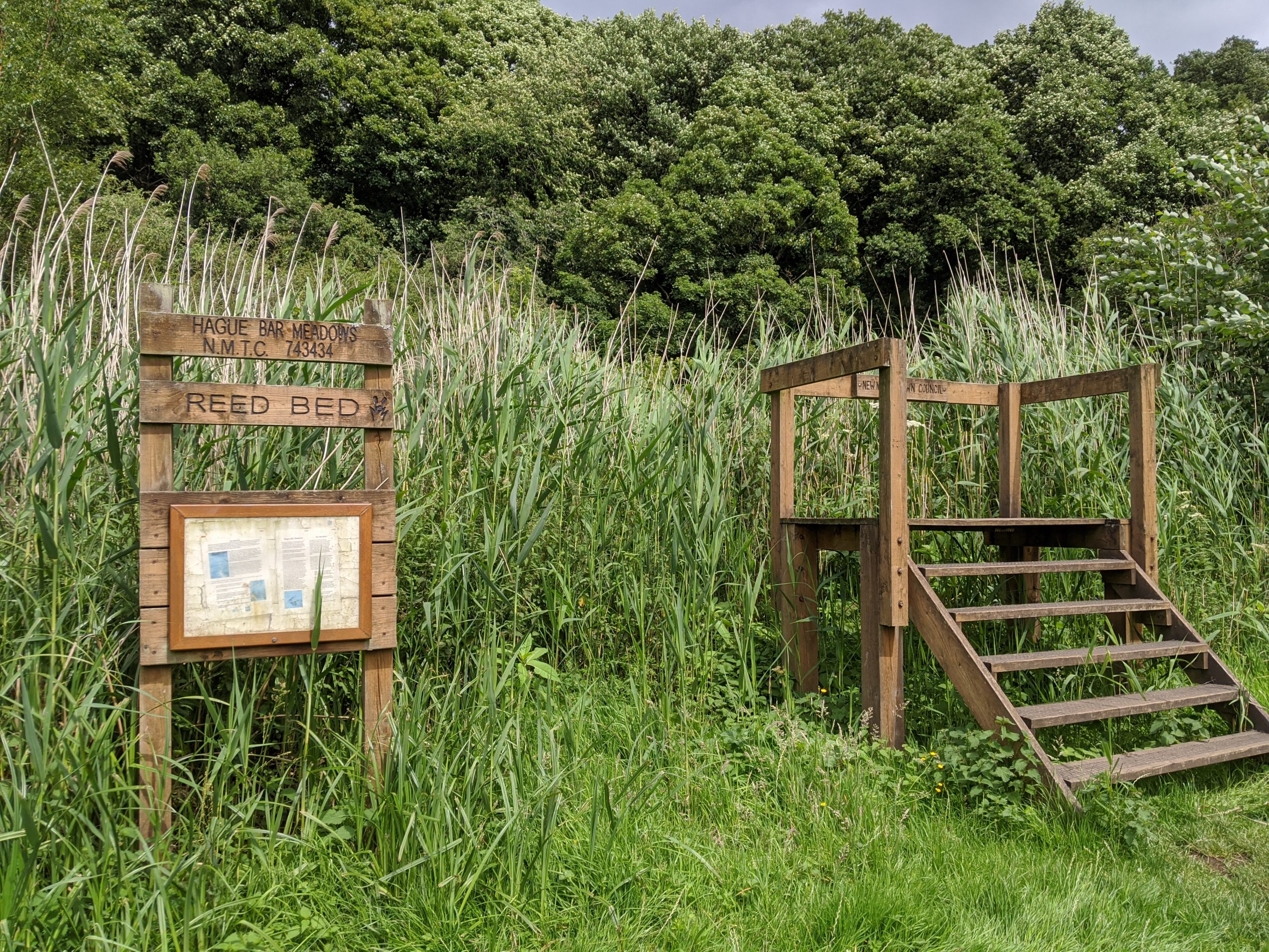 Mousley Bottom Nature Reserve - Visit New Mills