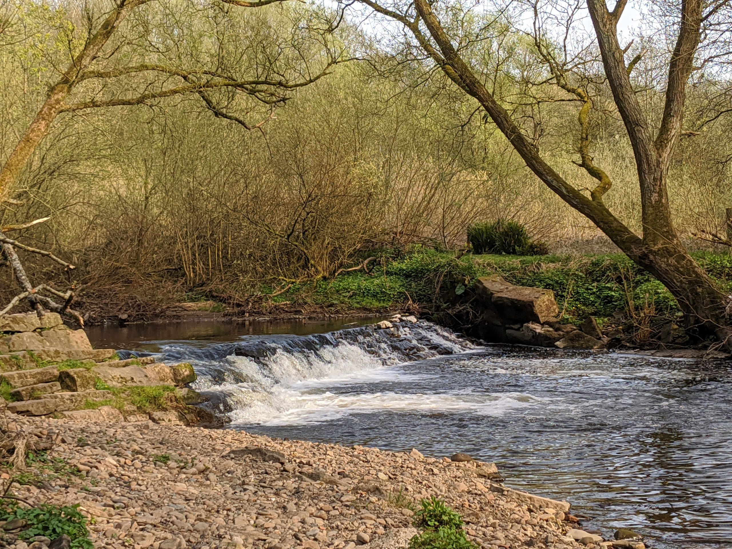 Local River update by Andrew Griffiths - Visit New Mills