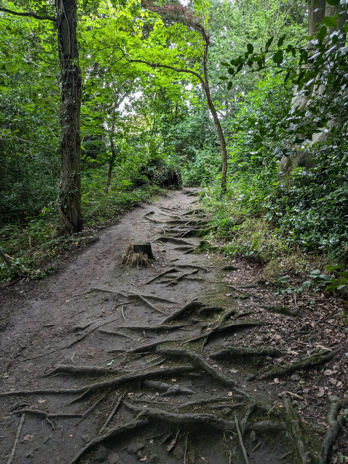 New Mills Heritage Trail - Visit New Mills